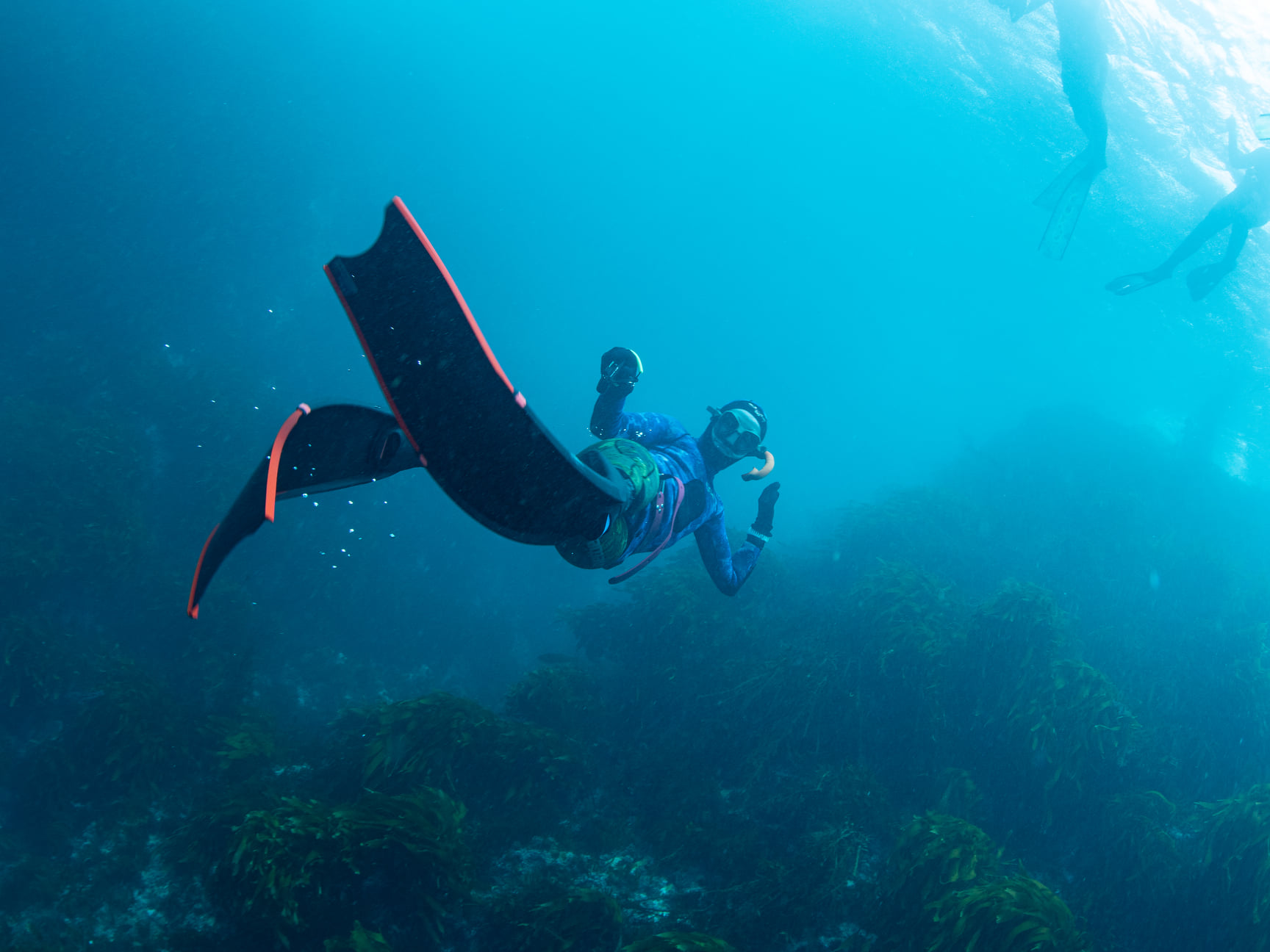 Lazy Seal Freediving Club – Wellington, New Zealand